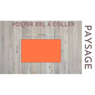 Poster XXL - Paradigm Shift|Decoratis.fr