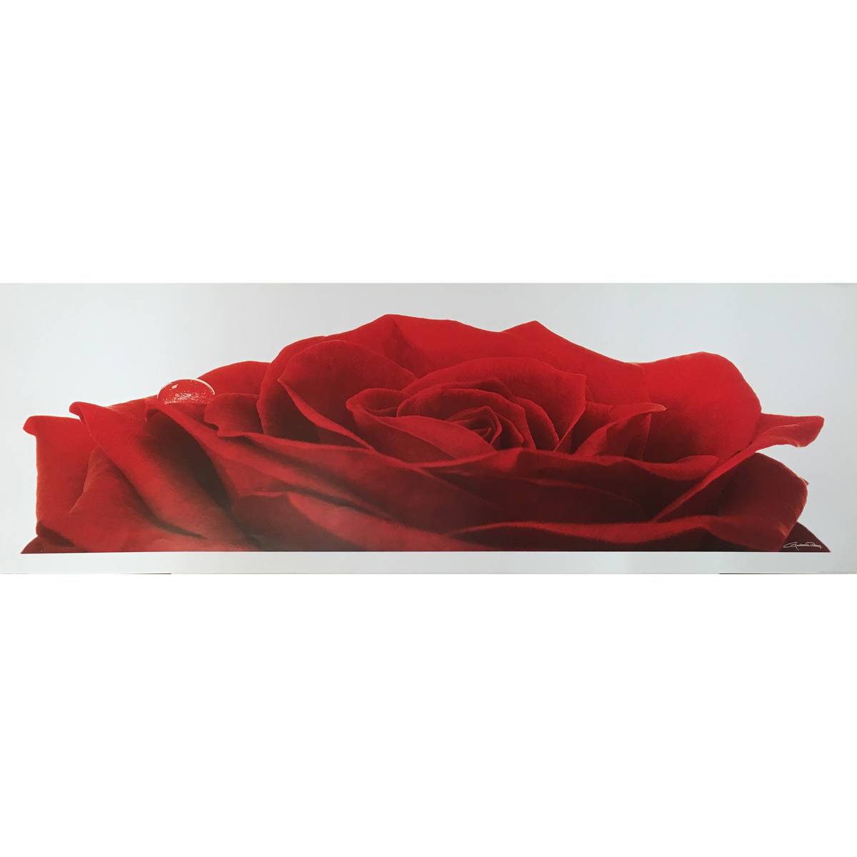 Affiche Rose Rouge|Decoratis.fr